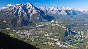 Research in Management Learning & Education